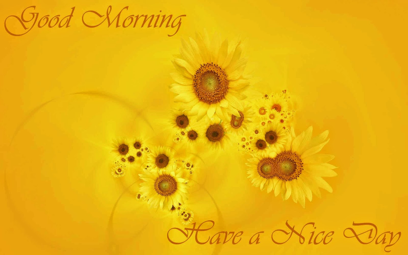 Download Image Friends Pics Quote Wish Good Morning Hd Wallpapers ...