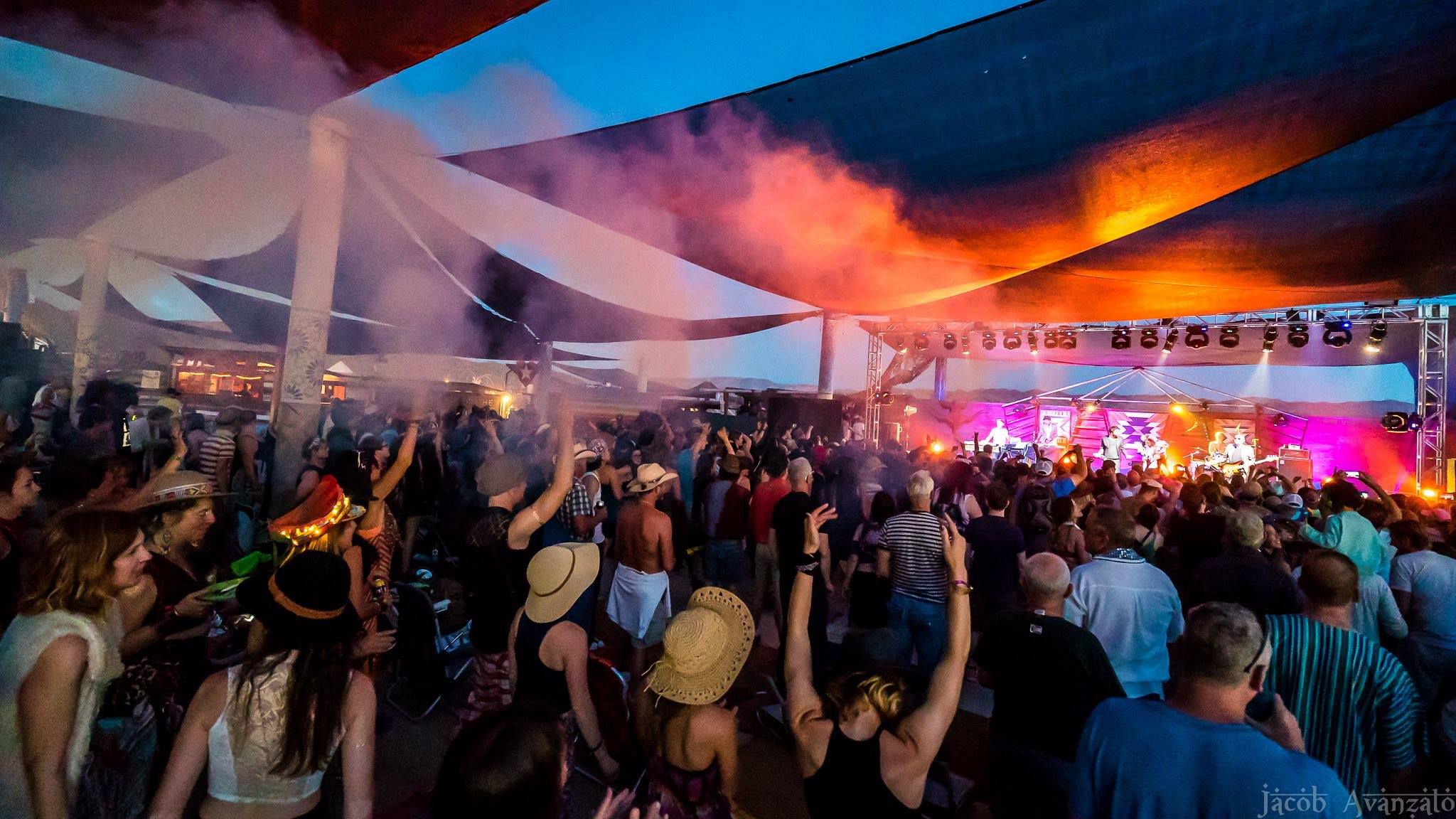 13) Joshua Tree Music Festival - Crowd (#1001641) - HD Wallpaper ...