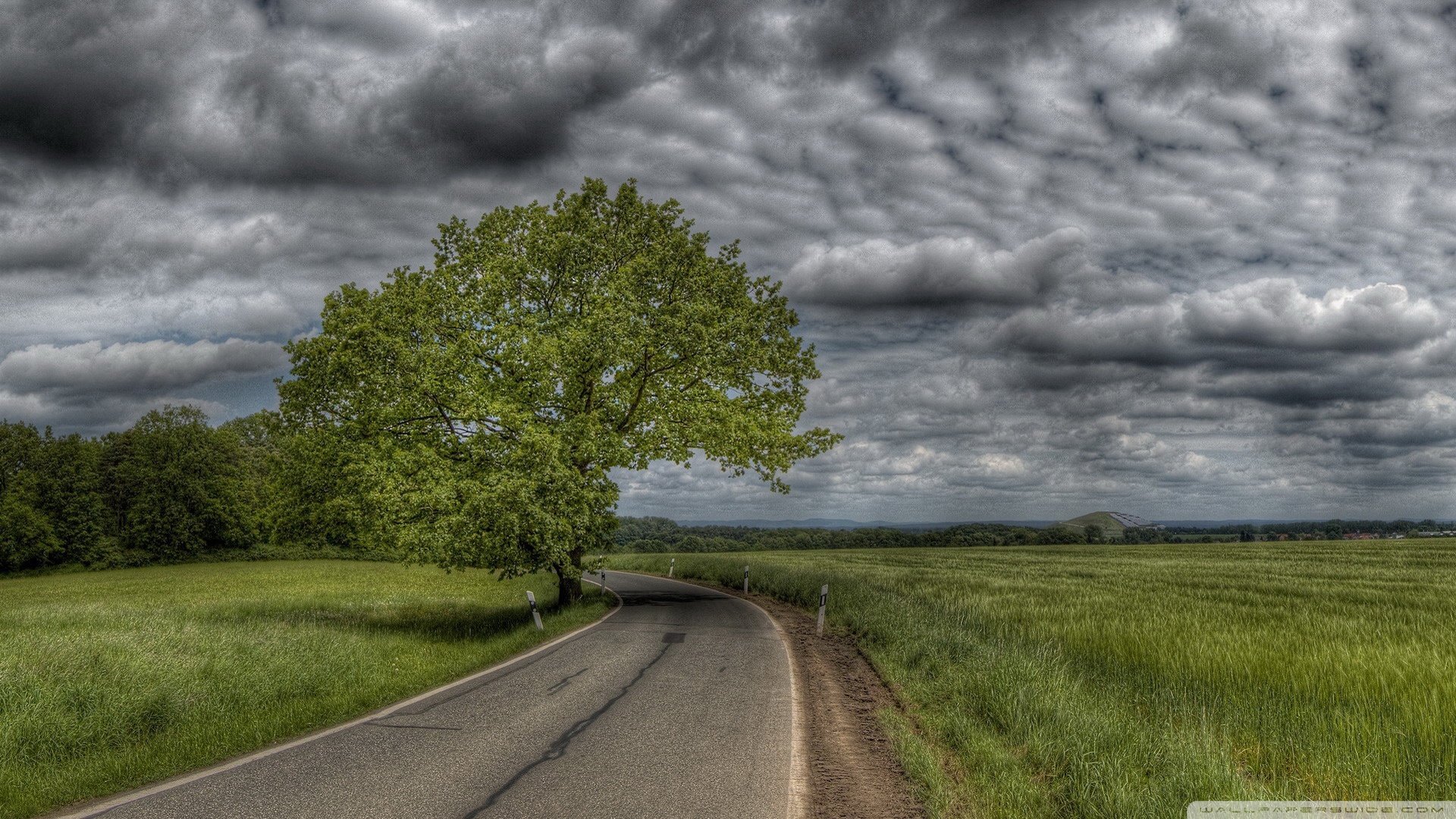 Standard - Rain On Country Road (#1022680) - HD Wallpaper & Backgrounds ...
