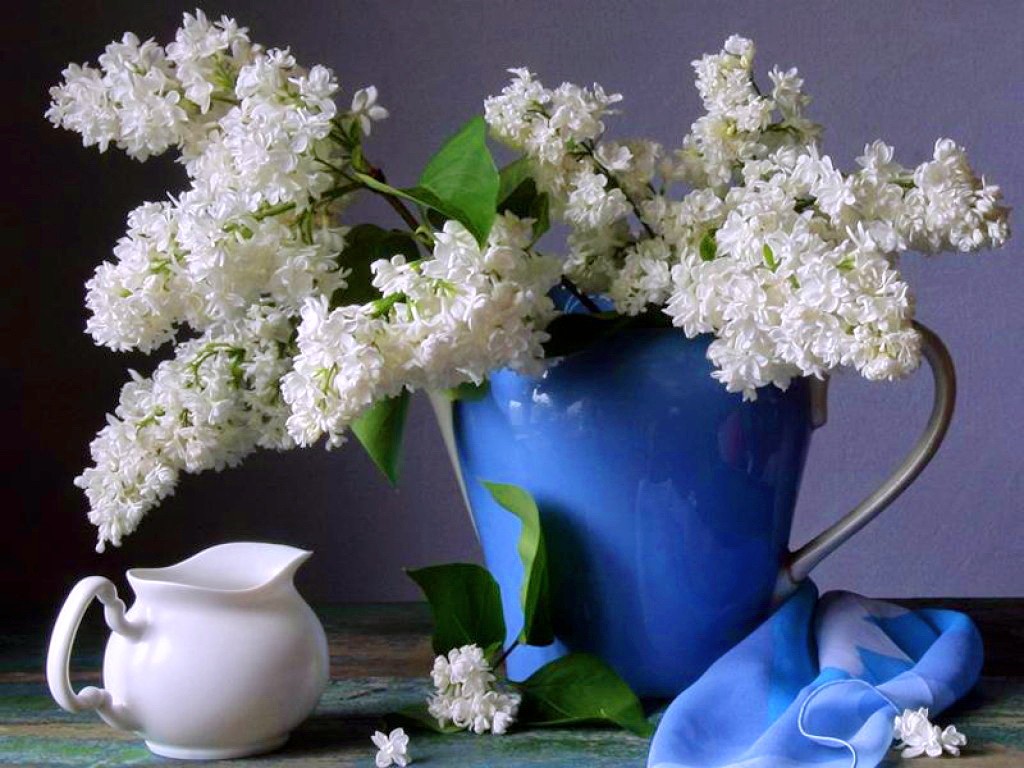 White Lilacs Blue Flowers Flower Wallpaper Pictures - Photography ...