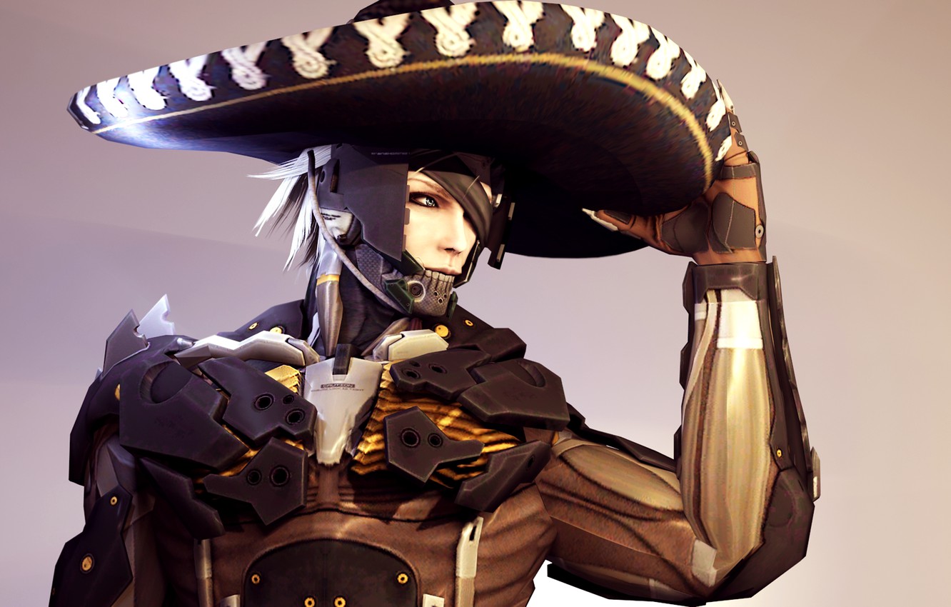 Download Photo Wallpaper Snake, Sombrero, Ninja, Raiden, Metal - Metal ...