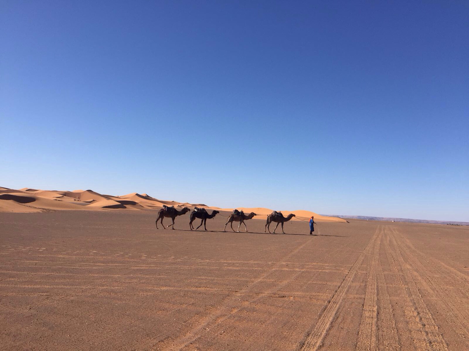 Erg (#1154015) - HD Wallpaper & Backgrounds Download