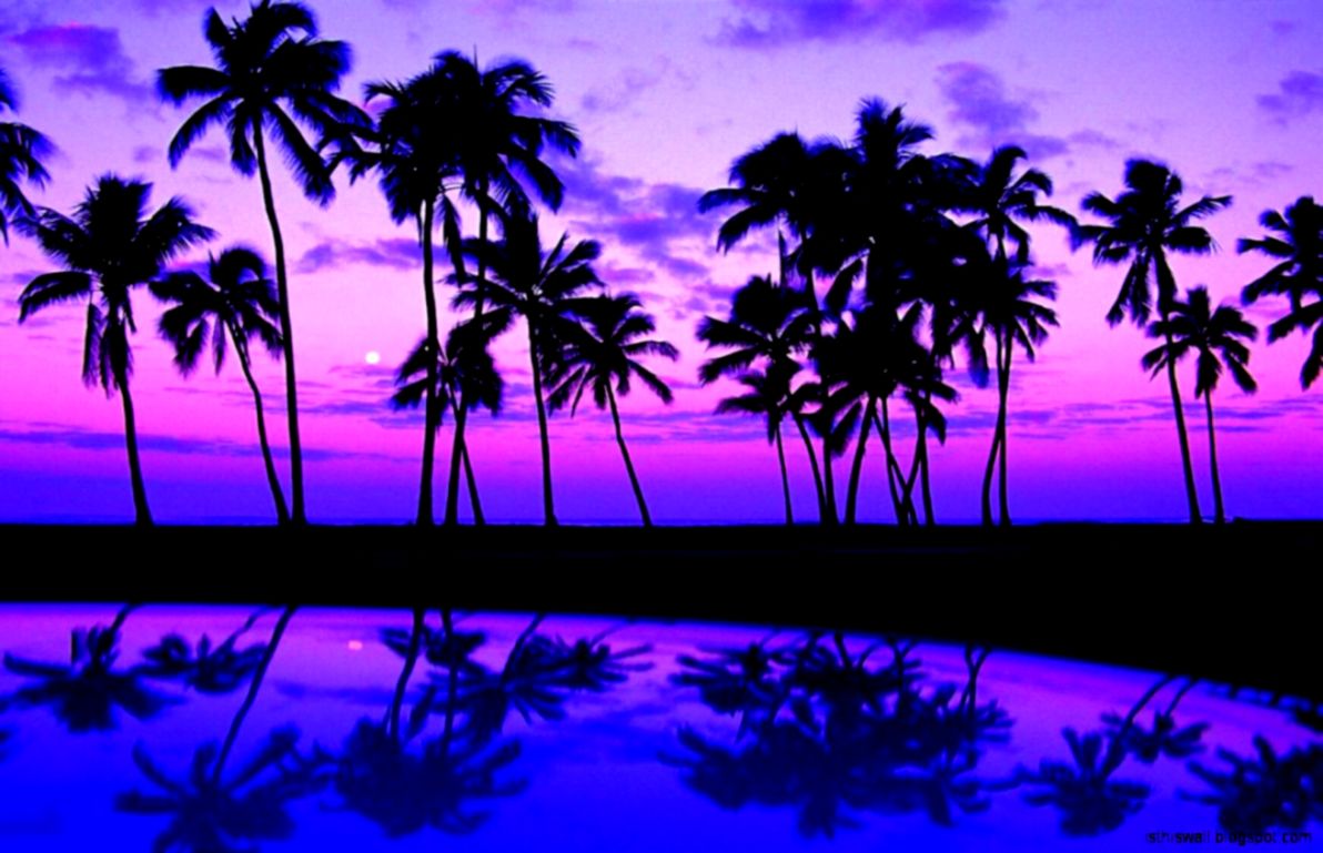 Purple Palm Trees (#1158884) - HD Wallpaper & Backgrounds Download
