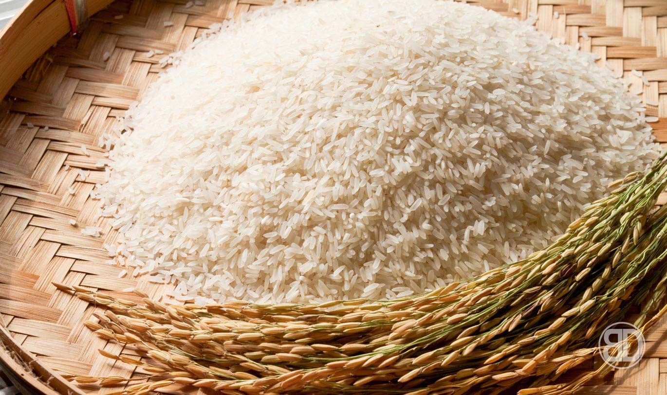 Rice Wallpaper (#1166807) - HD Wallpaper & Backgrounds Download