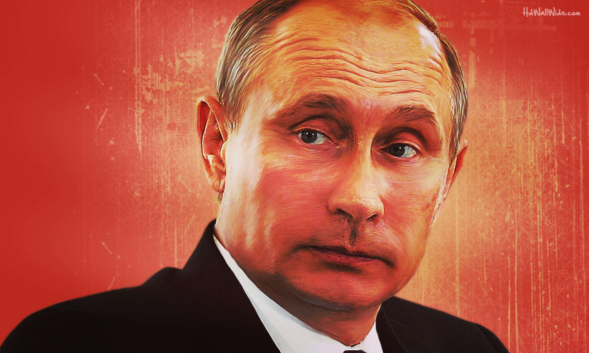 Vladimir Putin Wallpaper Hd - Vladimir Putin (#1170114) - HD Wallpaper ...