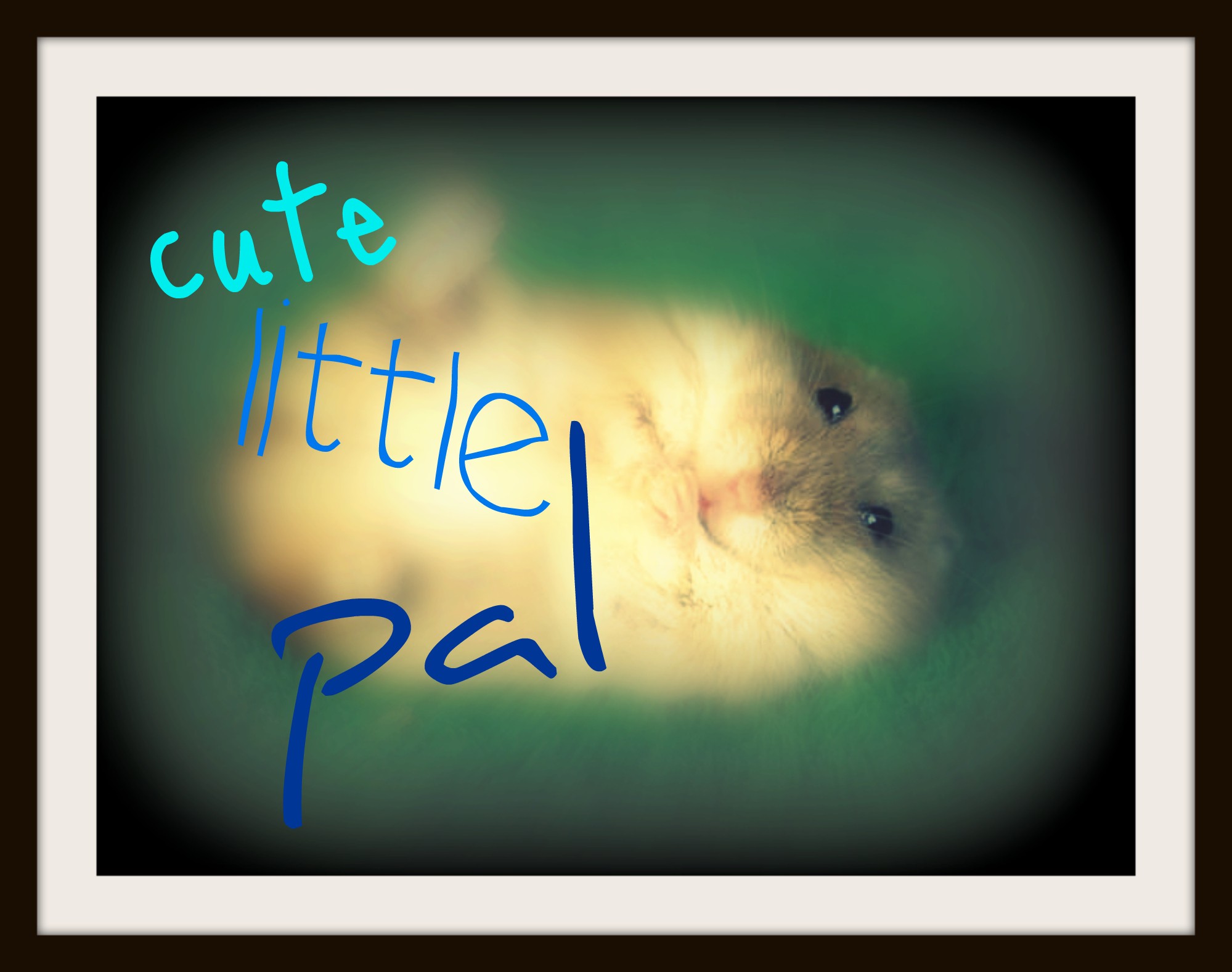 Cute Little Pal Wallpaper - Cute Pal (#1184936) - HD Wallpaper ...