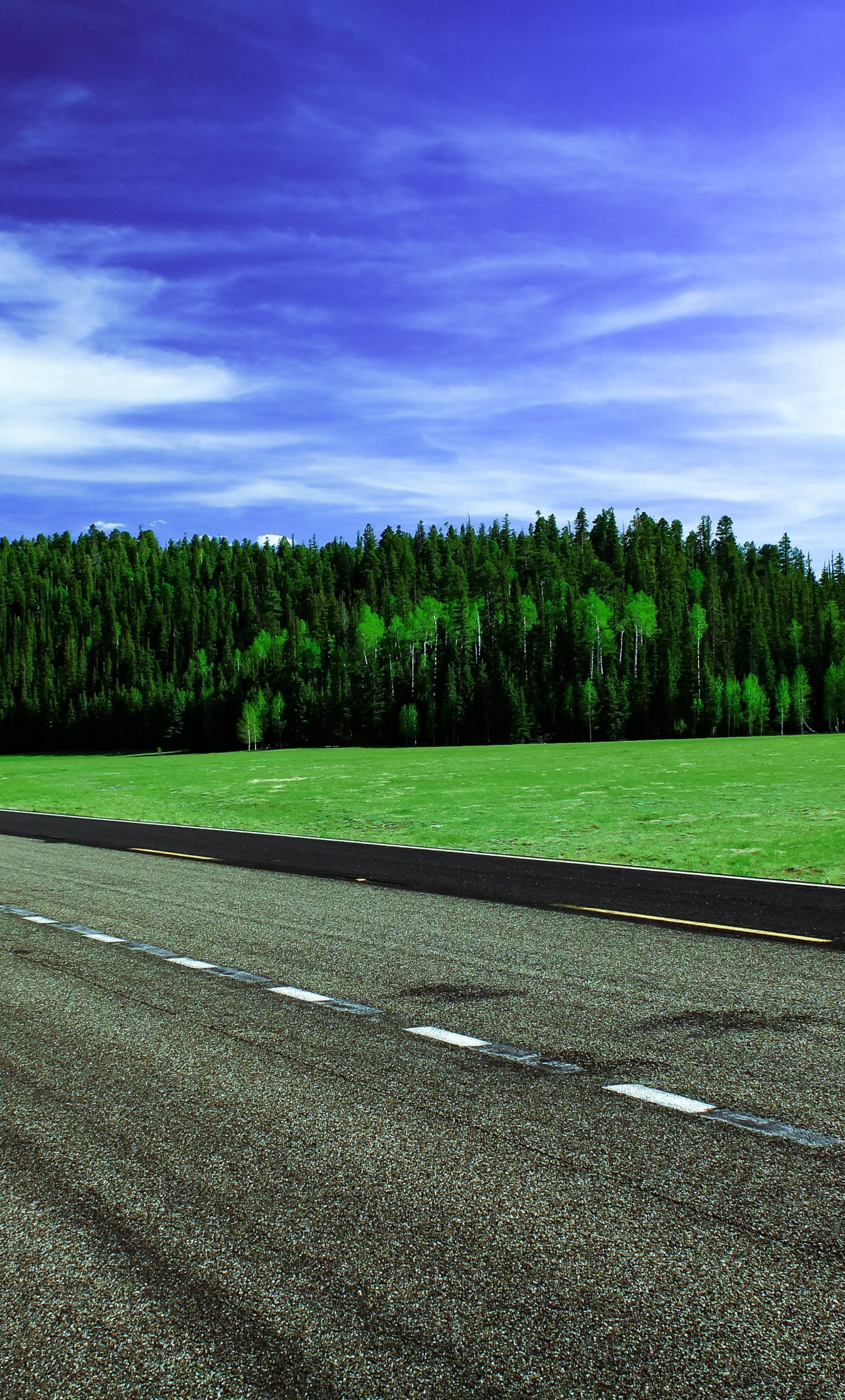 Wallpaper Green Trees, Highway, Road, Sunny Day - Freeway (#1185714 ...