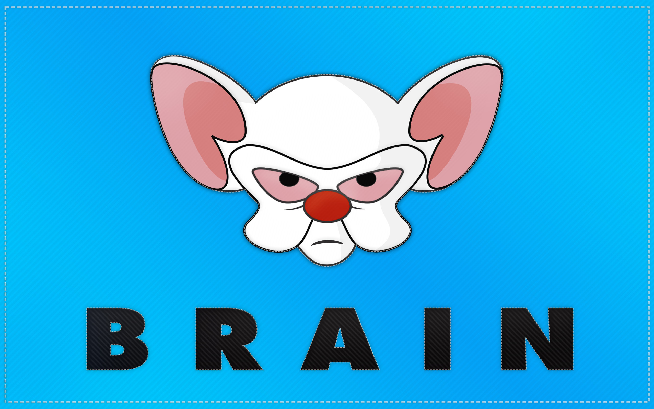 Pinky And The Brain Flag Wallpaper - Pinky And The Brain Mask (#1188680 ...