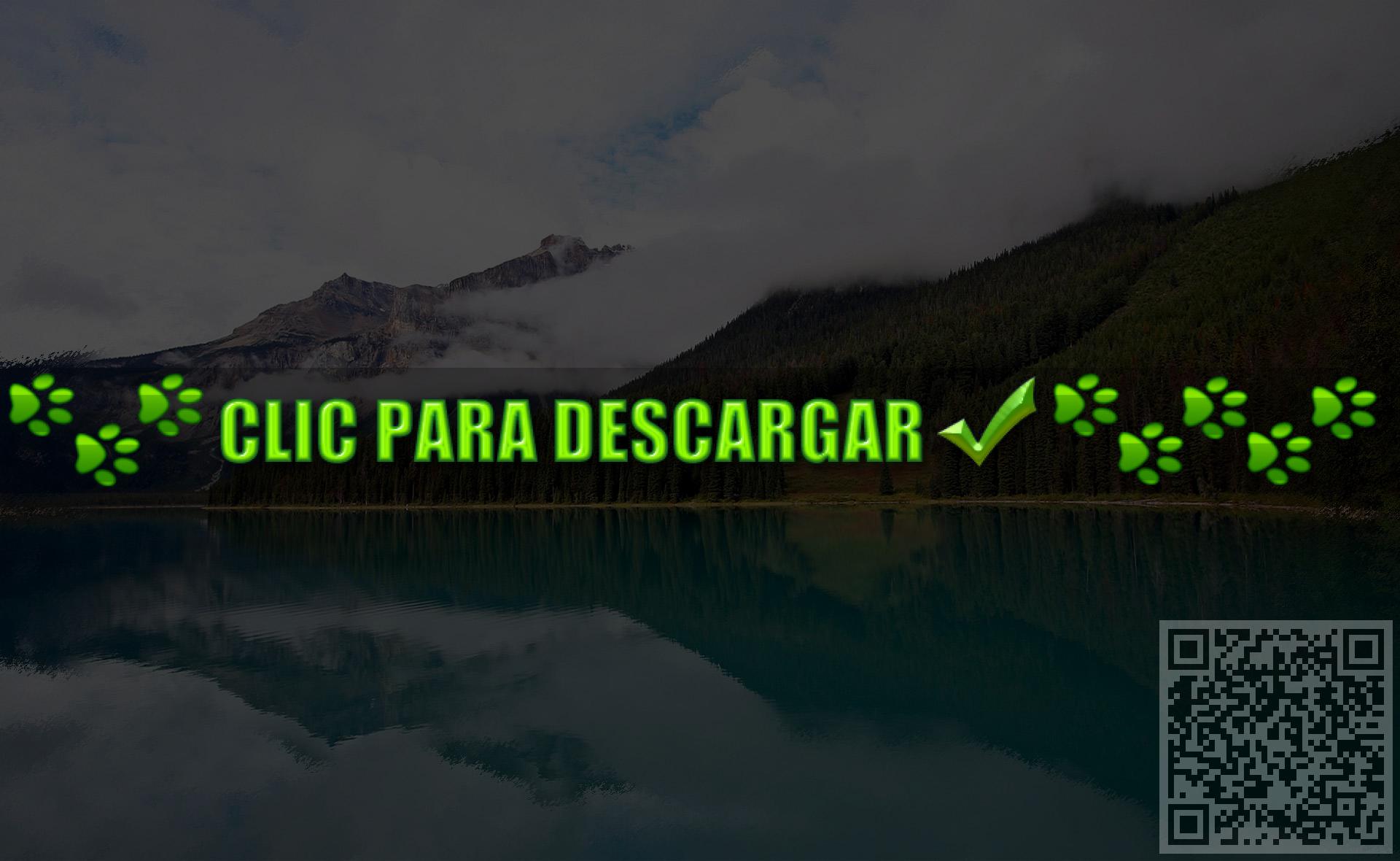 Wallpaper Bonito - Reflection (#1191929) - HD Wallpaper & Backgrounds ...