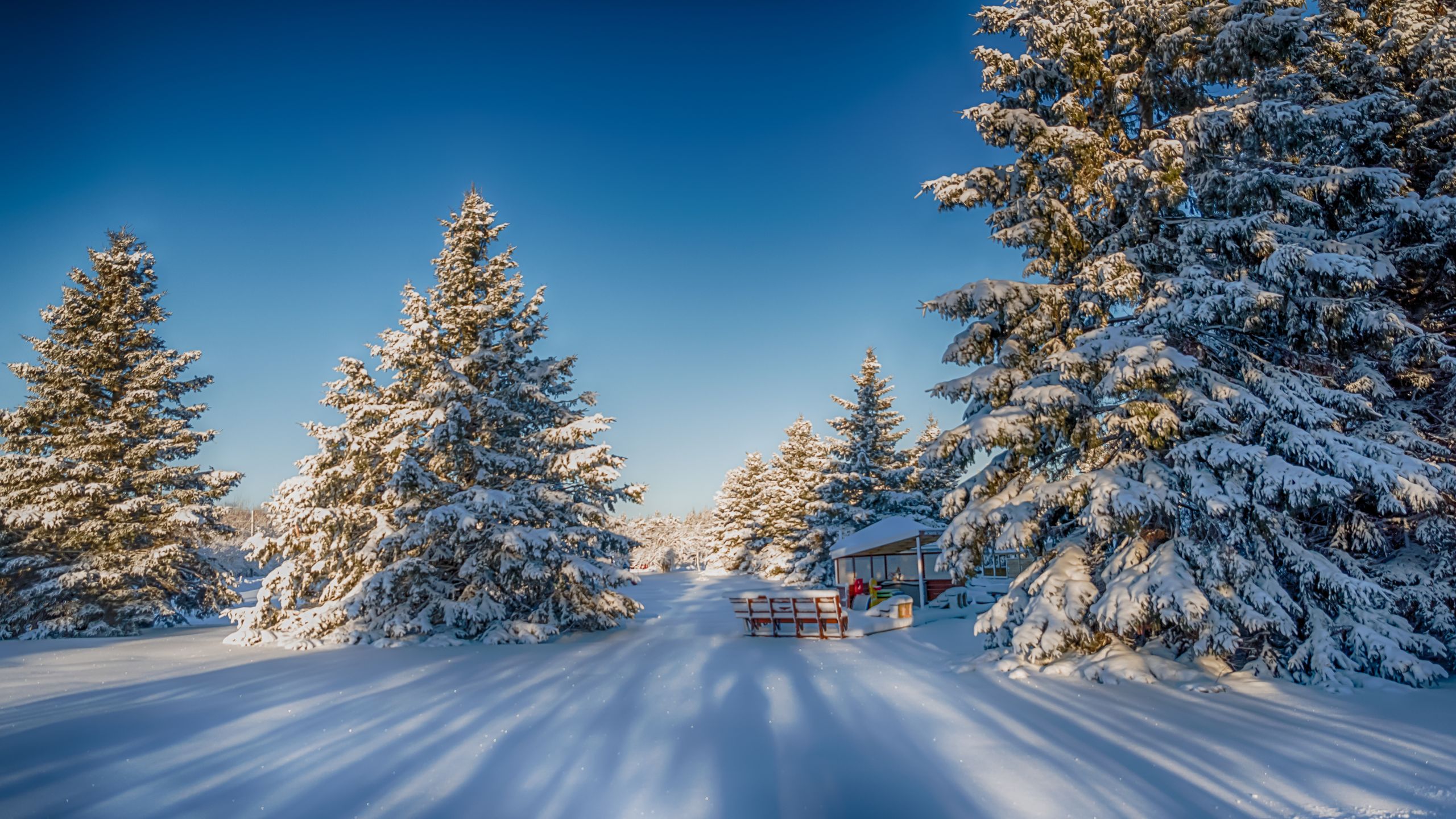 Hiver (#1221403) - HD Wallpaper & Backgrounds Download