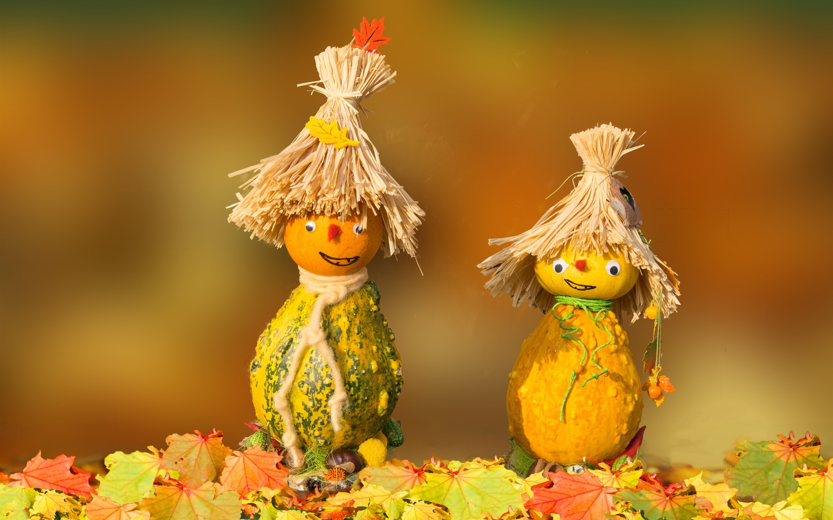 Download This Wallpaper - Funny Autumn (#1222275) - HD Wallpaper ...