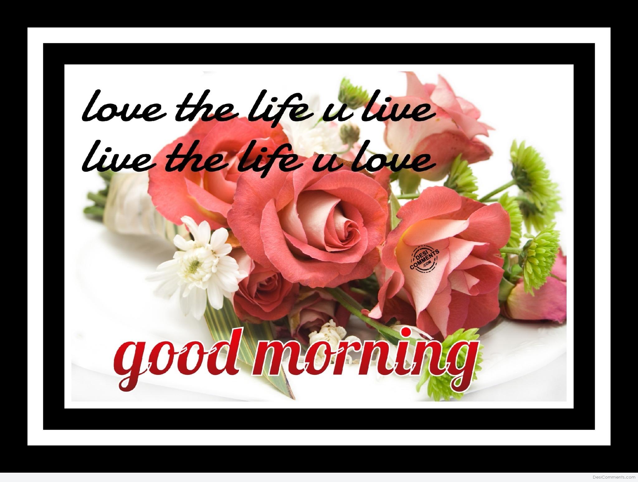 Rashmi - Beautiful Rose Bookey Hd (#1234686) - HD Wallpaper ...