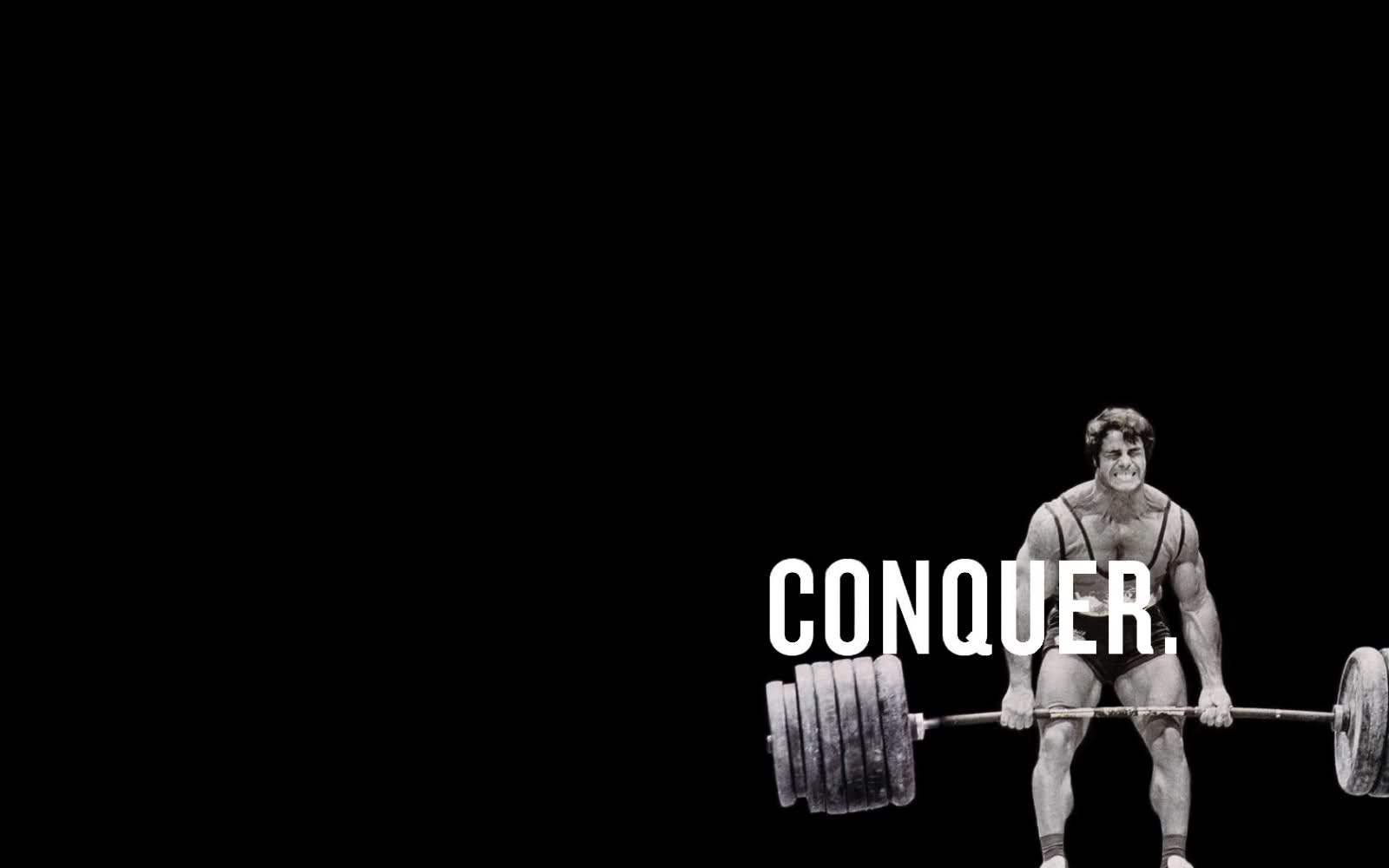 Conquer Wallpaper (#1265826) - HD Wallpaper & Backgrounds Download