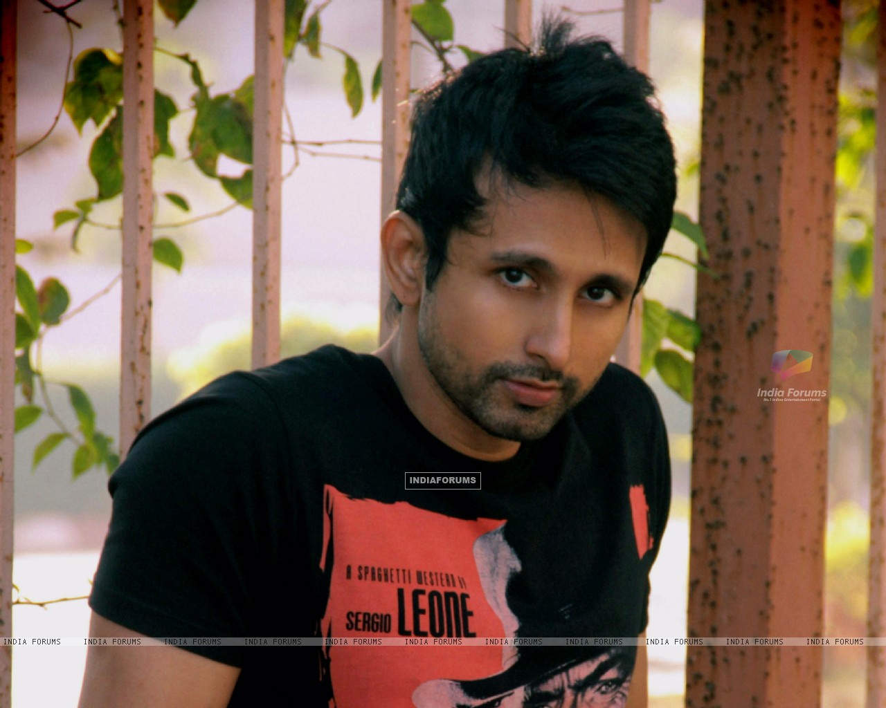 Naveen Sen Size - Houseplant (#1279788) - HD Wallpaper & Backgrounds ...