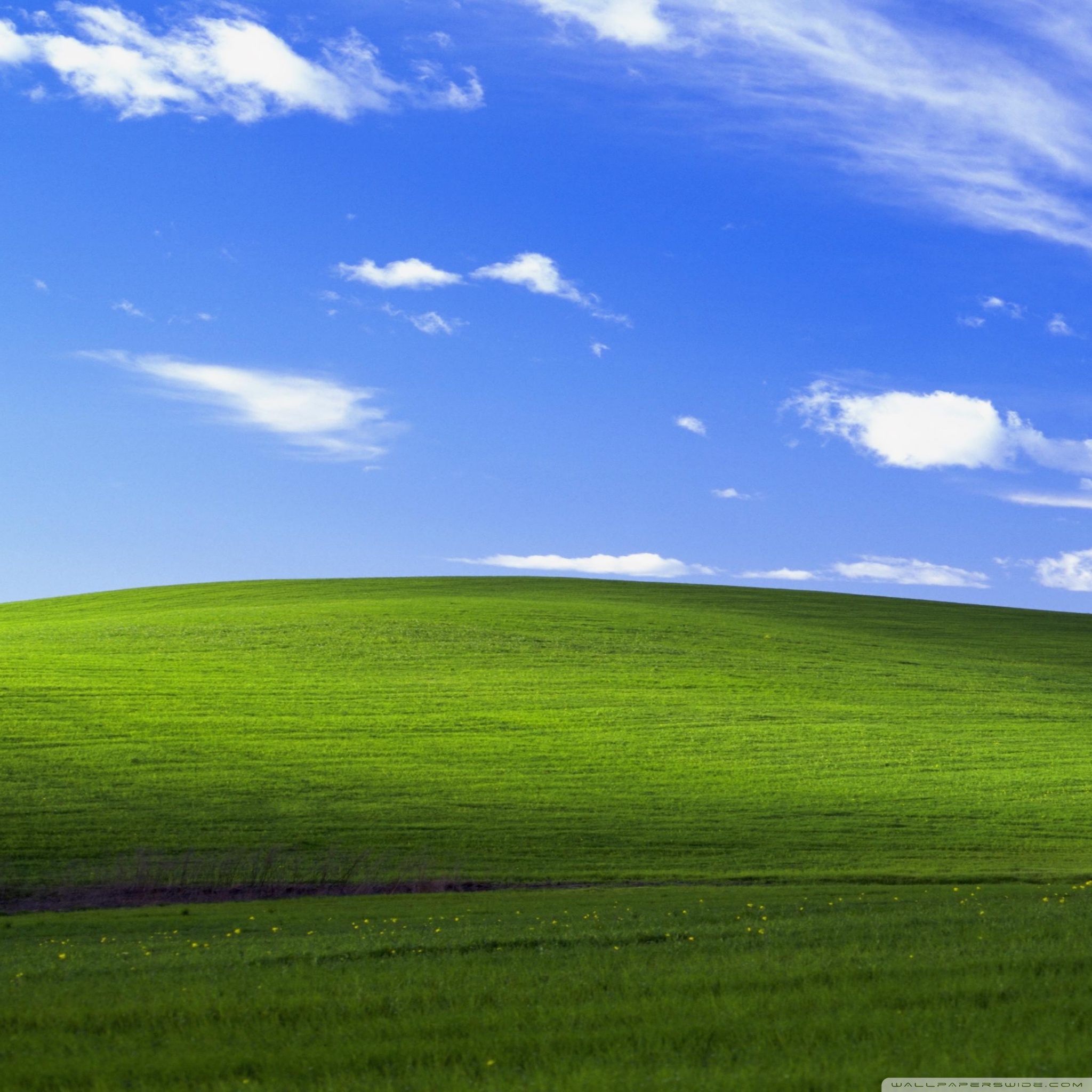 Ipad - Windows Xp Wallpaper 1080p (#134823) - HD Wallpaper ...