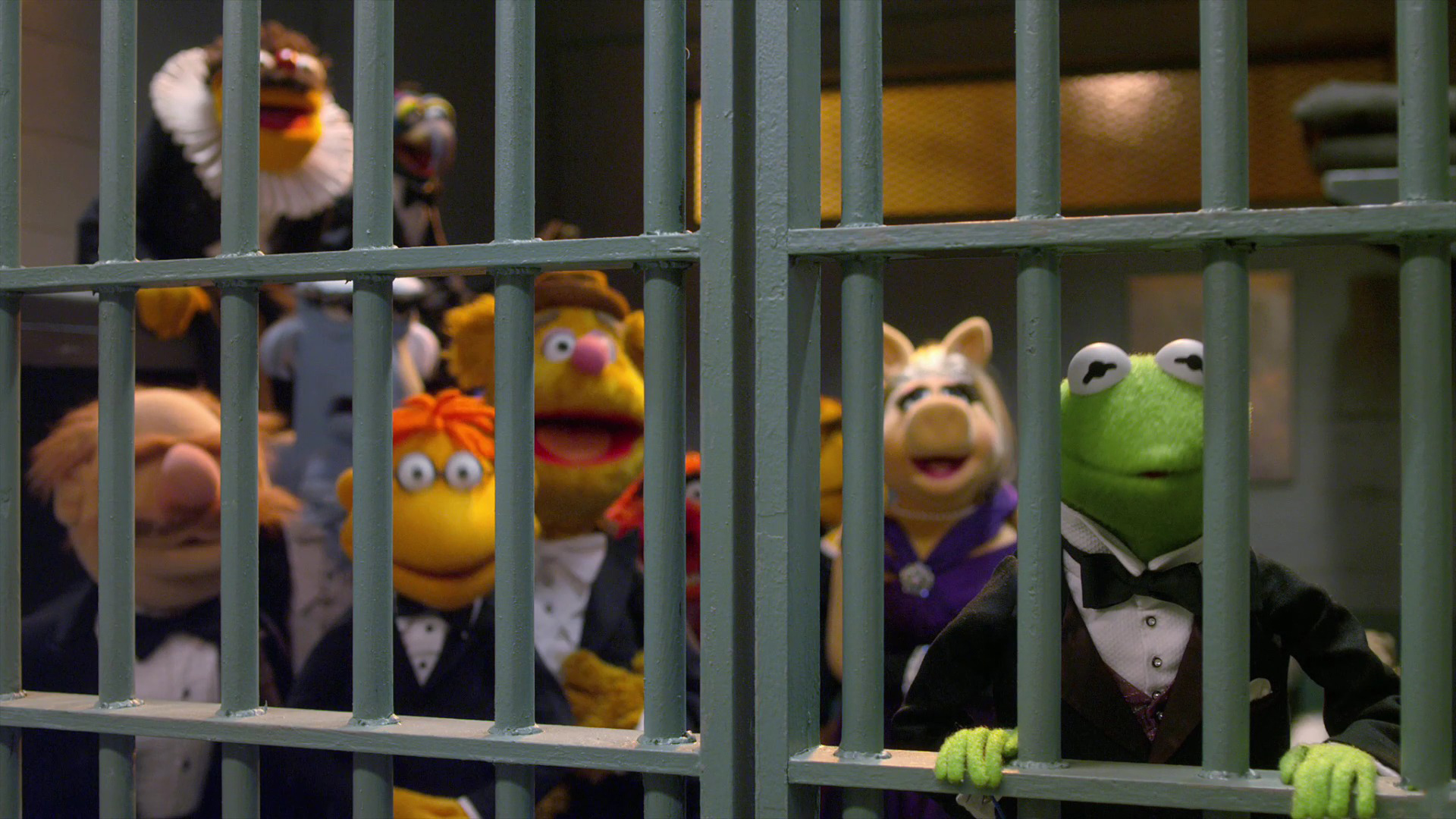 The Muppets - Kermit Jail (#1307399) - HD Wallpaper & Backgrounds Download