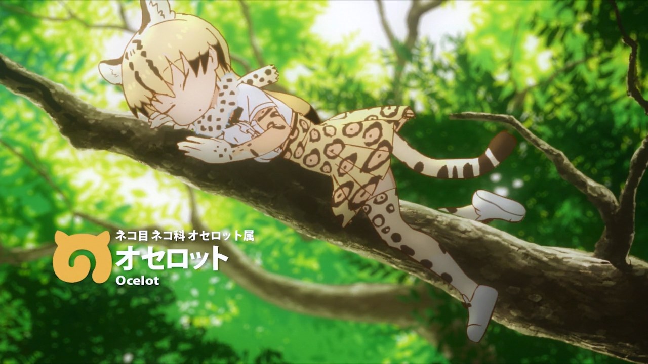 Anime, Kemono Friends, Ocelot , Wallpaper - Kemono Ocelot (#1307413 ...