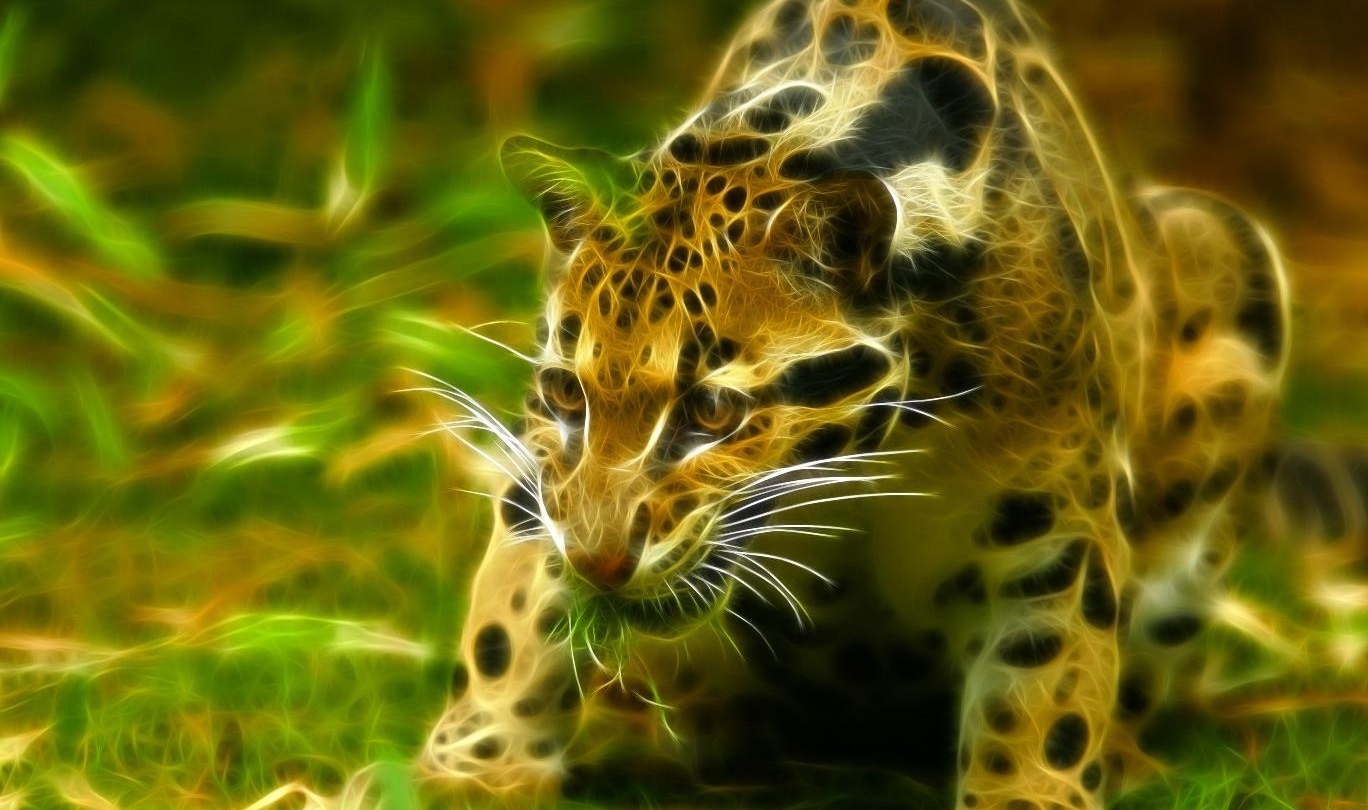 Ocelot Range Map Pictures Of A Great Horned Owl Sea - Nashville Zoo At ...