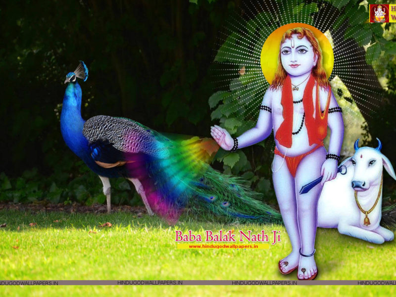 Download Wallpaper - Baba Balak Nath G Hd (#1329067) - HD Wallpaper ...