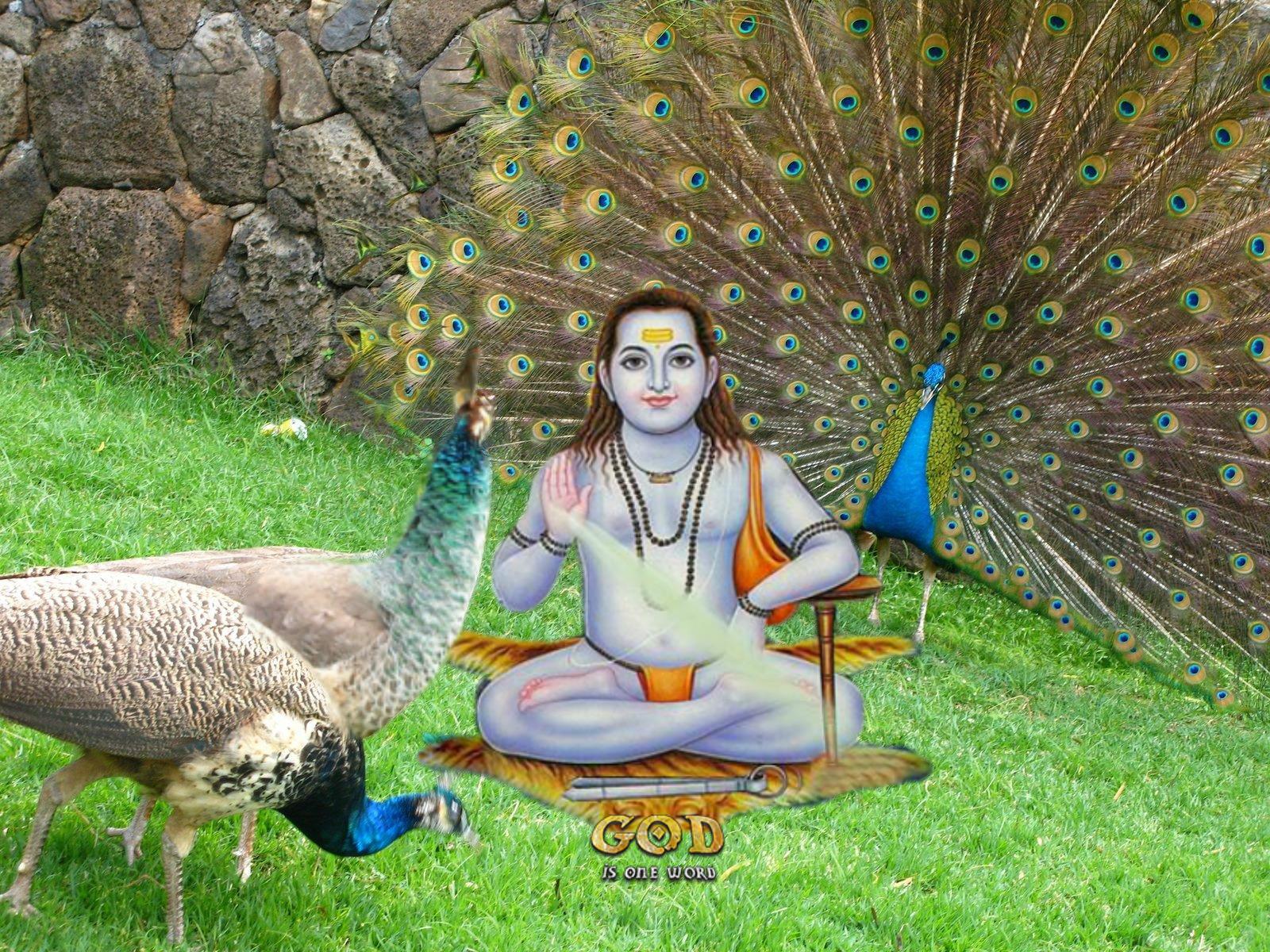 Download Baba Balak Nath Wallpaper - Baba Balak Nath Ji On Itl.cat