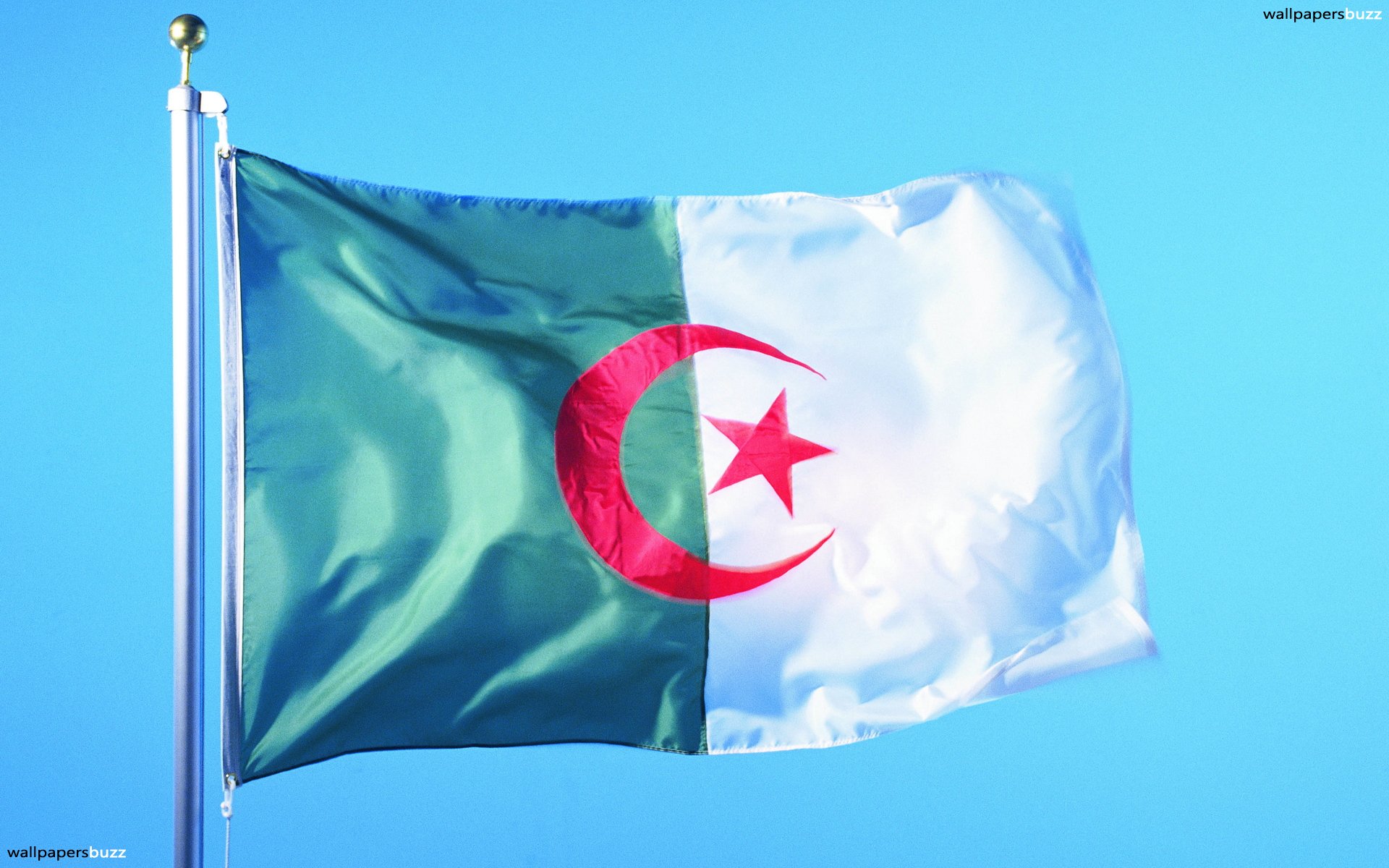Algeria Flag (#1331673) - HD Wallpaper & Backgrounds Download