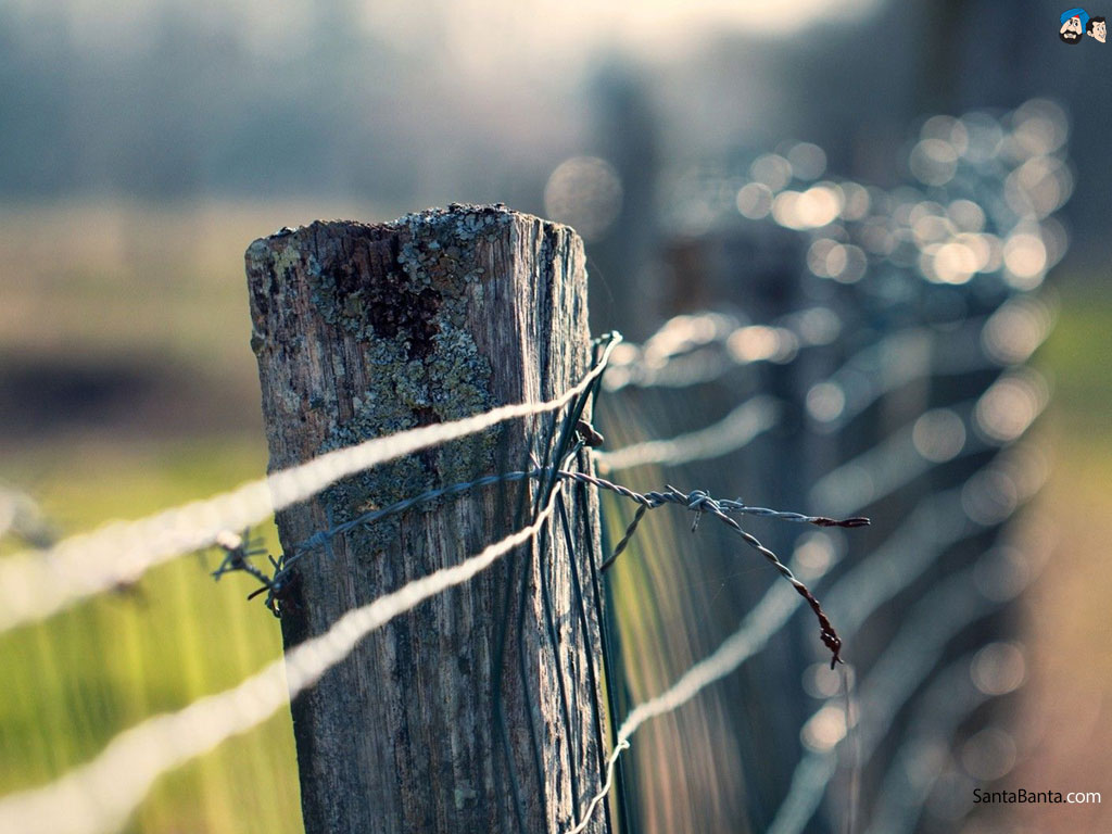 Download Full Wallpaper - Barbed Wire Fence (#1340775) - HD Wallpaper ...
