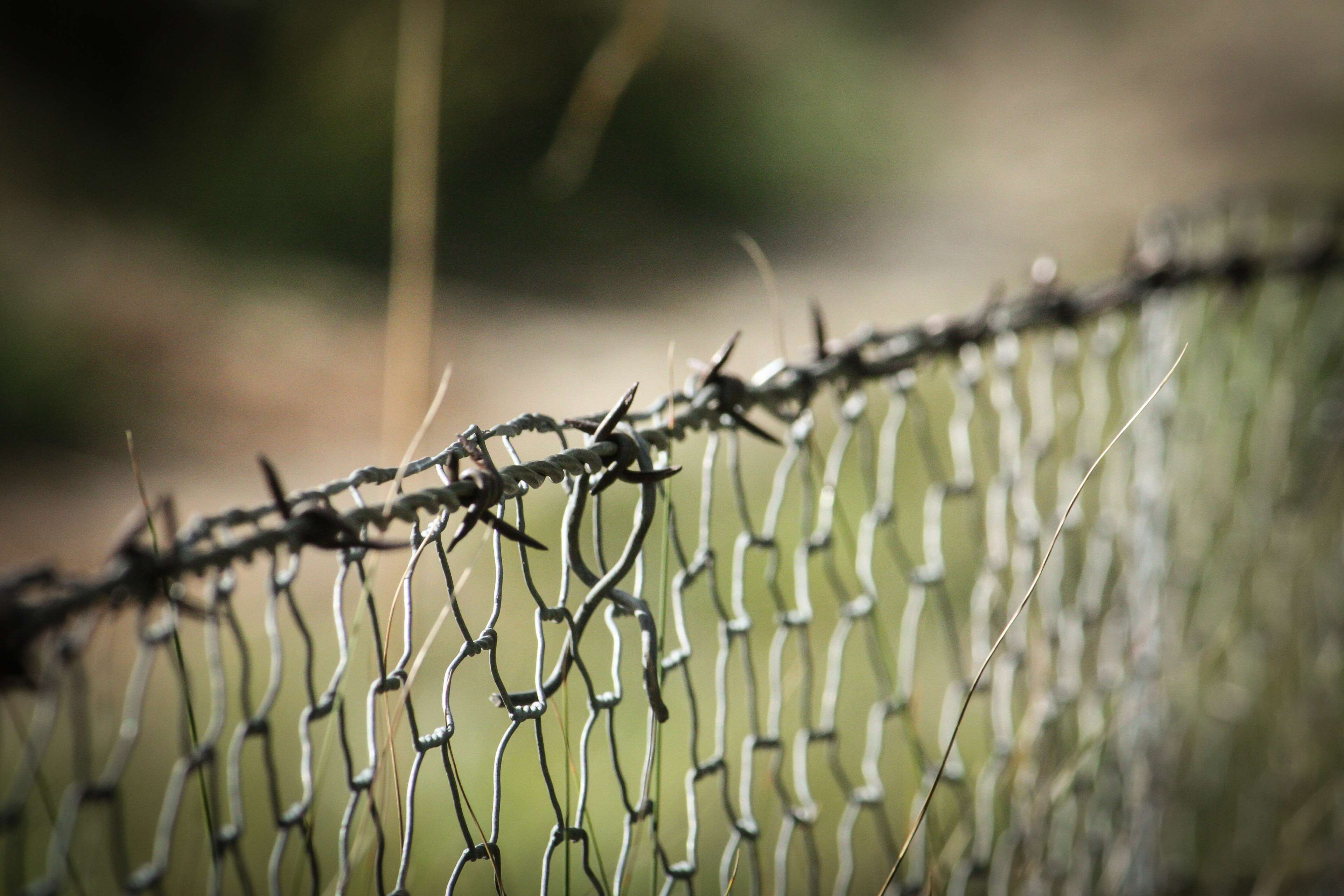 Download Barbed Wire, Fence, Wire Mesh, Wire Netting 4k Wallpaper ...