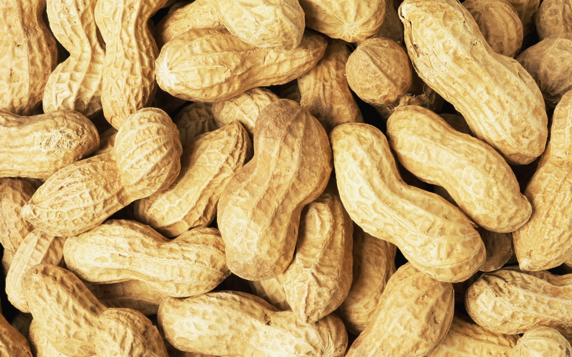 Peanut Wallpapers - Peanut Background Hd (#1340824) - HD Wallpaper ...