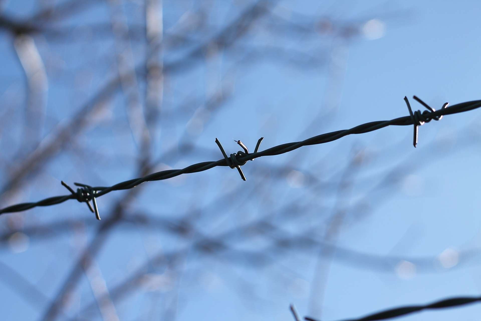Barbed Wire Fence - Barbed Wire (#1340895) - HD Wallpaper & Backgrounds ...