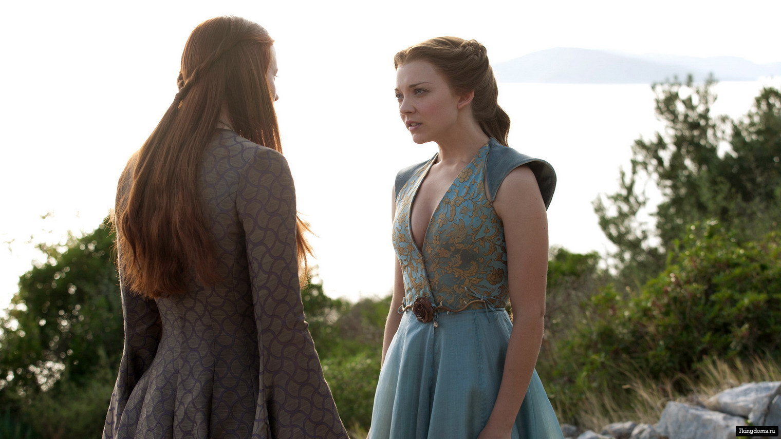 Margaery Tyrell - Sansa Stark Margaery Tyrell (#1353276) - HD Wallpaper ...