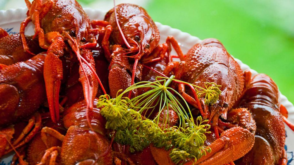 Louisiana Crawfish Wallpaper Hd - Crayfish Sweden (#1368964) - HD ...