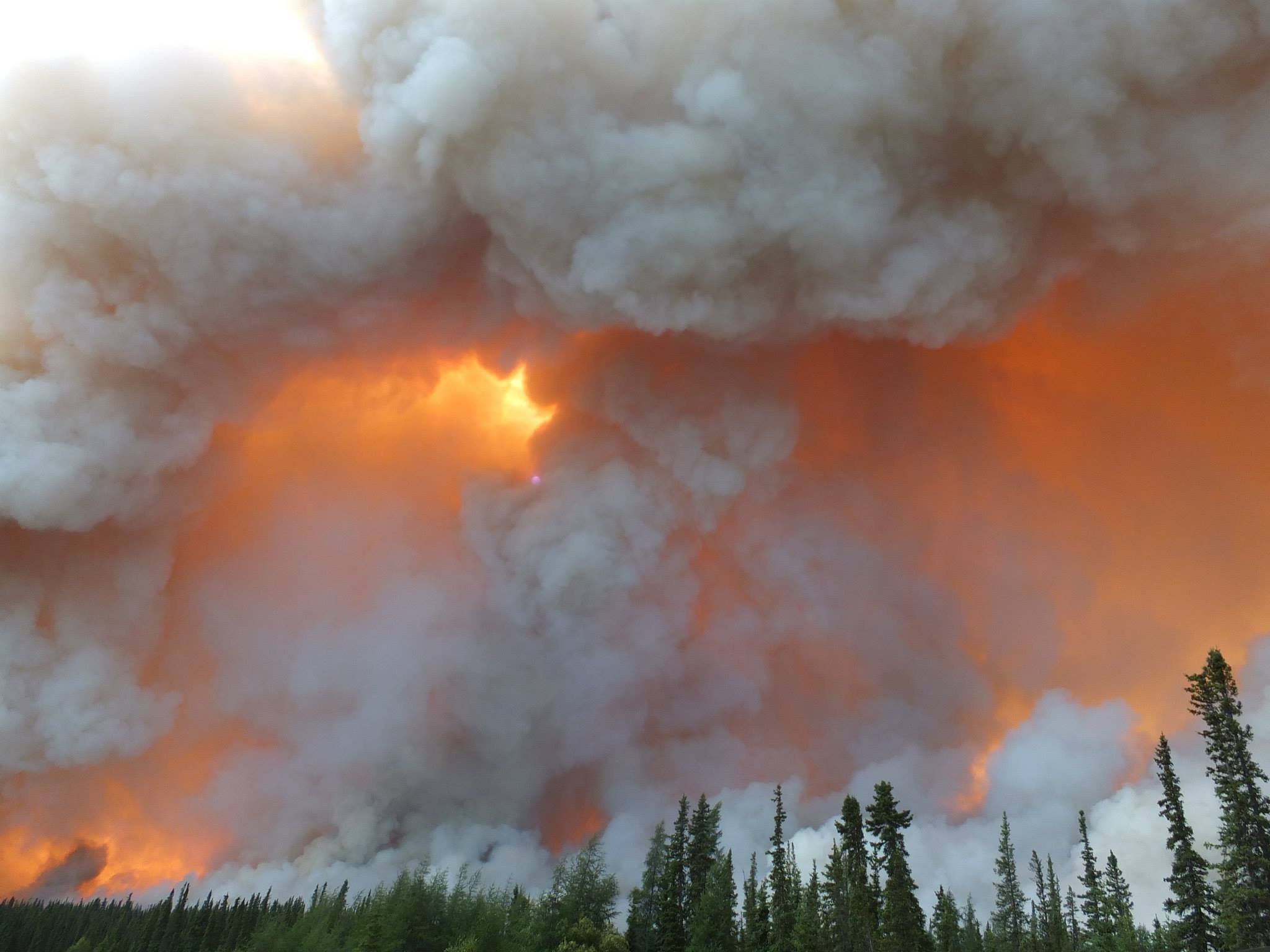 High Definition, Disaster, Ultra Hd,green,forest, Wallpaper - Wildfire ...