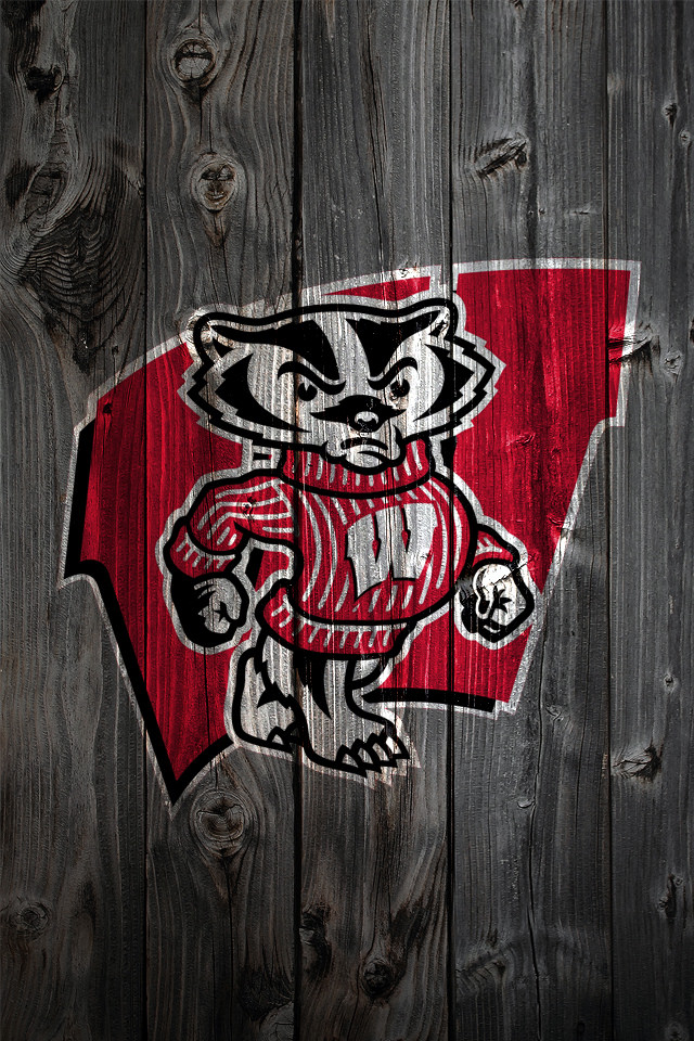 Wisconsin Badgers Computer Wallpaper Wisconsin Badgers - Wisconsin ...