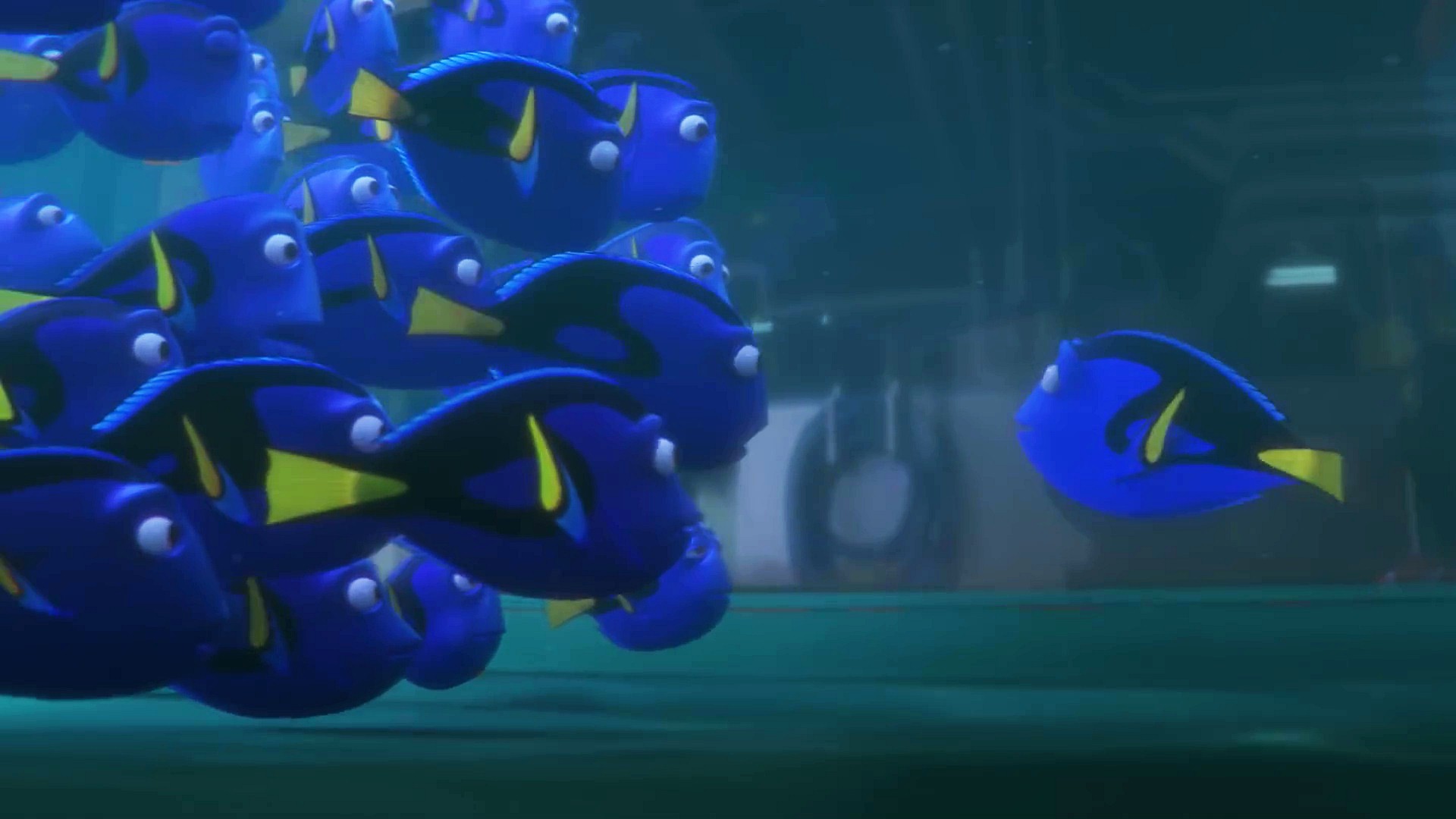 Finding Dory Dory Fish (#1384027) - HD Wallpaper & Backgrounds Download