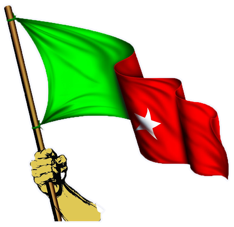 Sdpi Flag (#1421709) - HD Wallpaper & Backgrounds Download