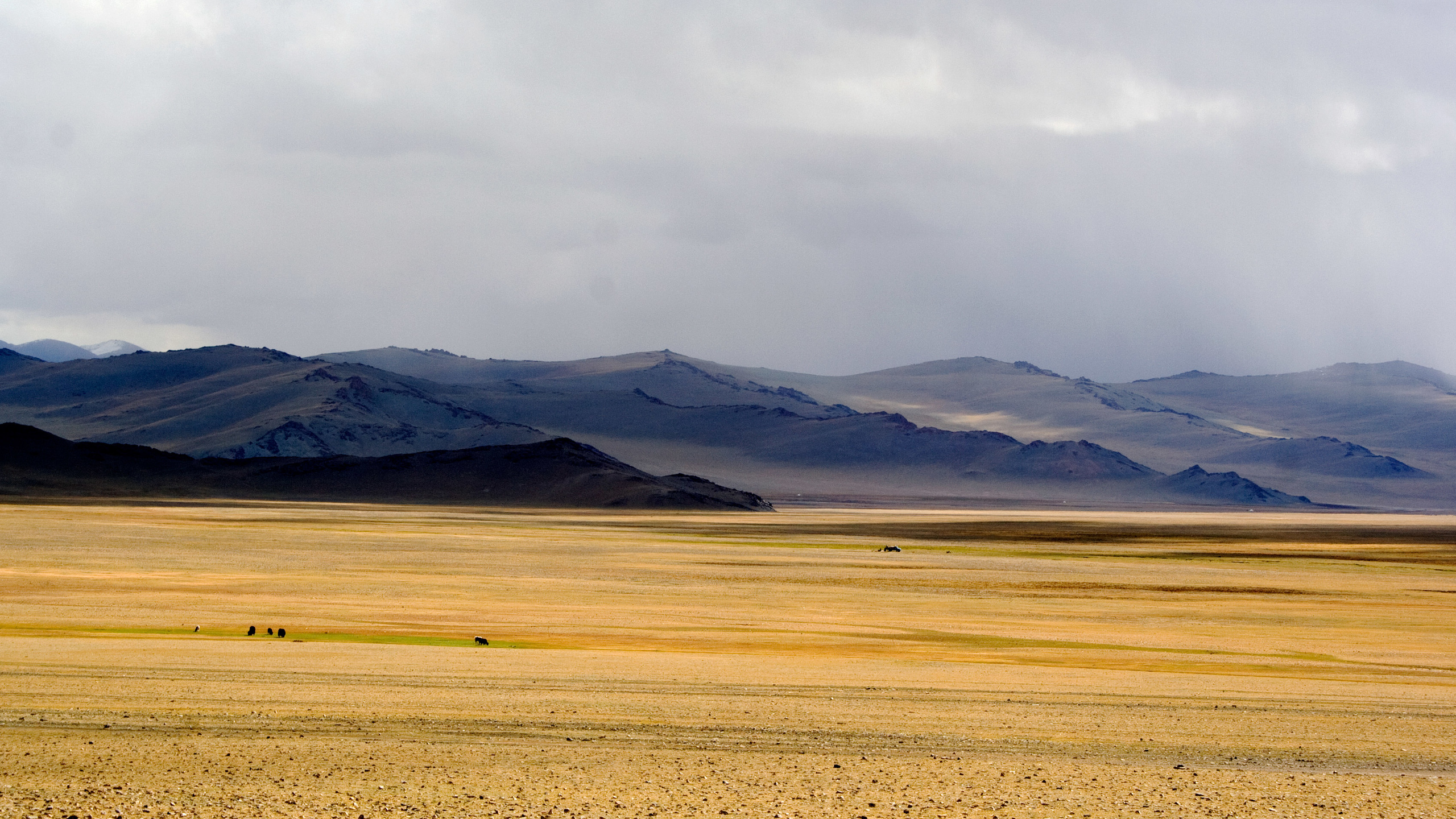 Download Download Wallpaper - Steppe On Itl.cat