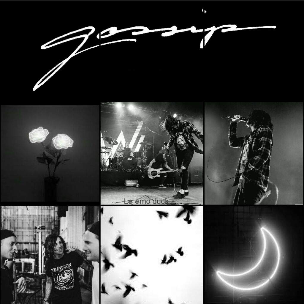 Download Sws Aesthetic - Black And White Bird Photography On Itl.cat