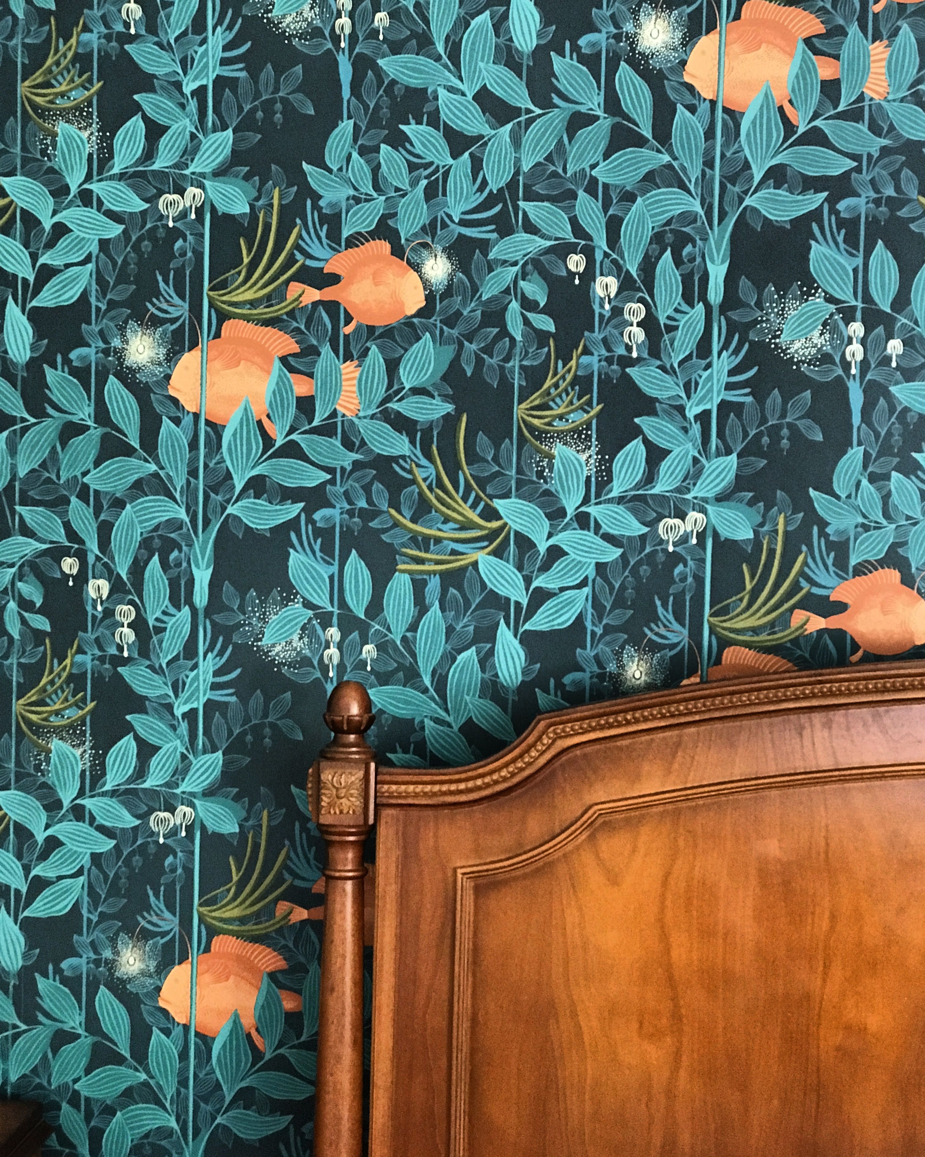 Cole And Son Wallpaper Whimsical - Cole And Son Nautilus (#1468161 ...