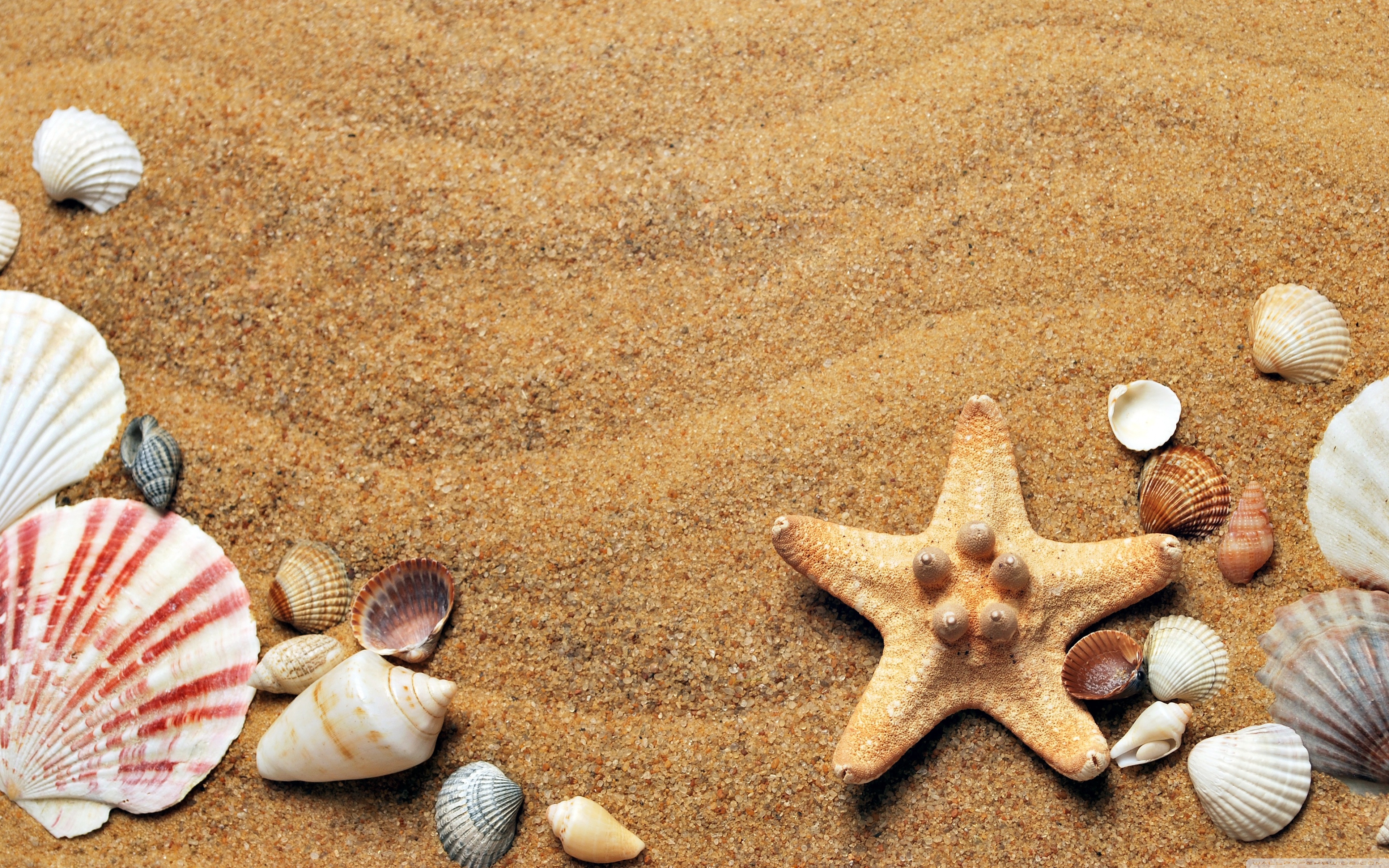 Related Wallpapers Summer Background High Resolution 1509758 HD related-wallpapers-summer-background-high-resolution-1509758-hd