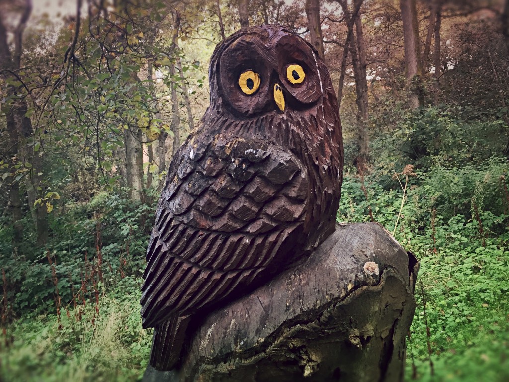 The Gruffalo Kilmardinny Loch Glasgow - Kilmardinny Loch Gruffalo ...