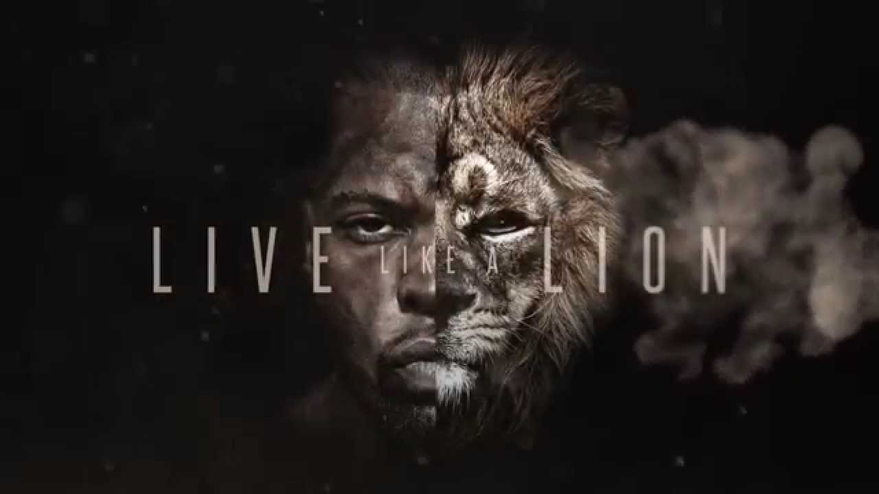 Mike Rashid Lion Logo (#1550789) - HD Wallpaper & Backgrounds Download