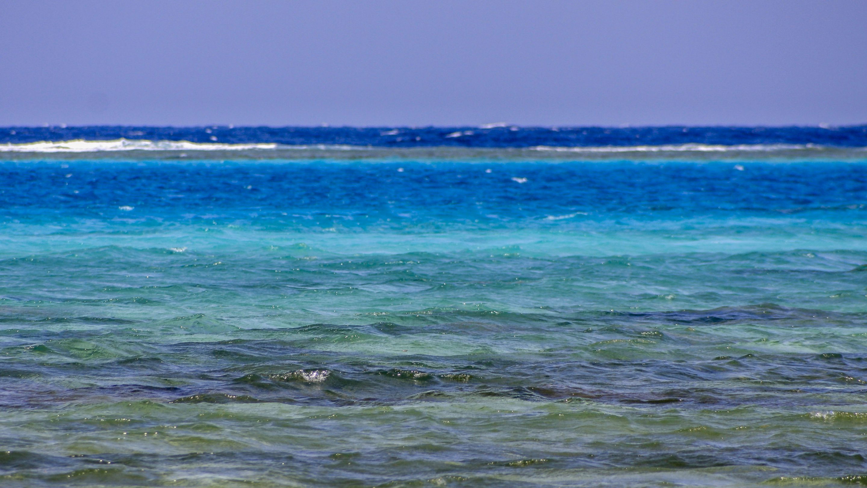 Download Sea On Itl.cat