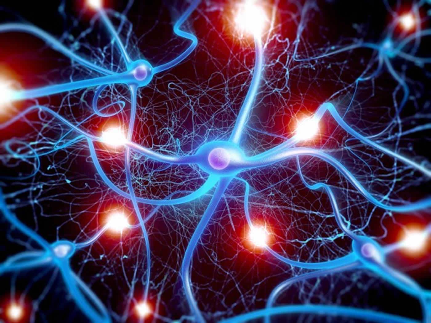 Image Shows Neurons - Brain Synapses (#1688366) - HD Wallpaper ...