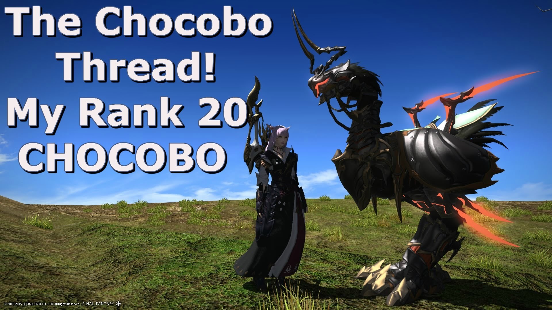 Best Chocobo Barding (#1688793) - HD Wallpaper & Backgrounds Download
