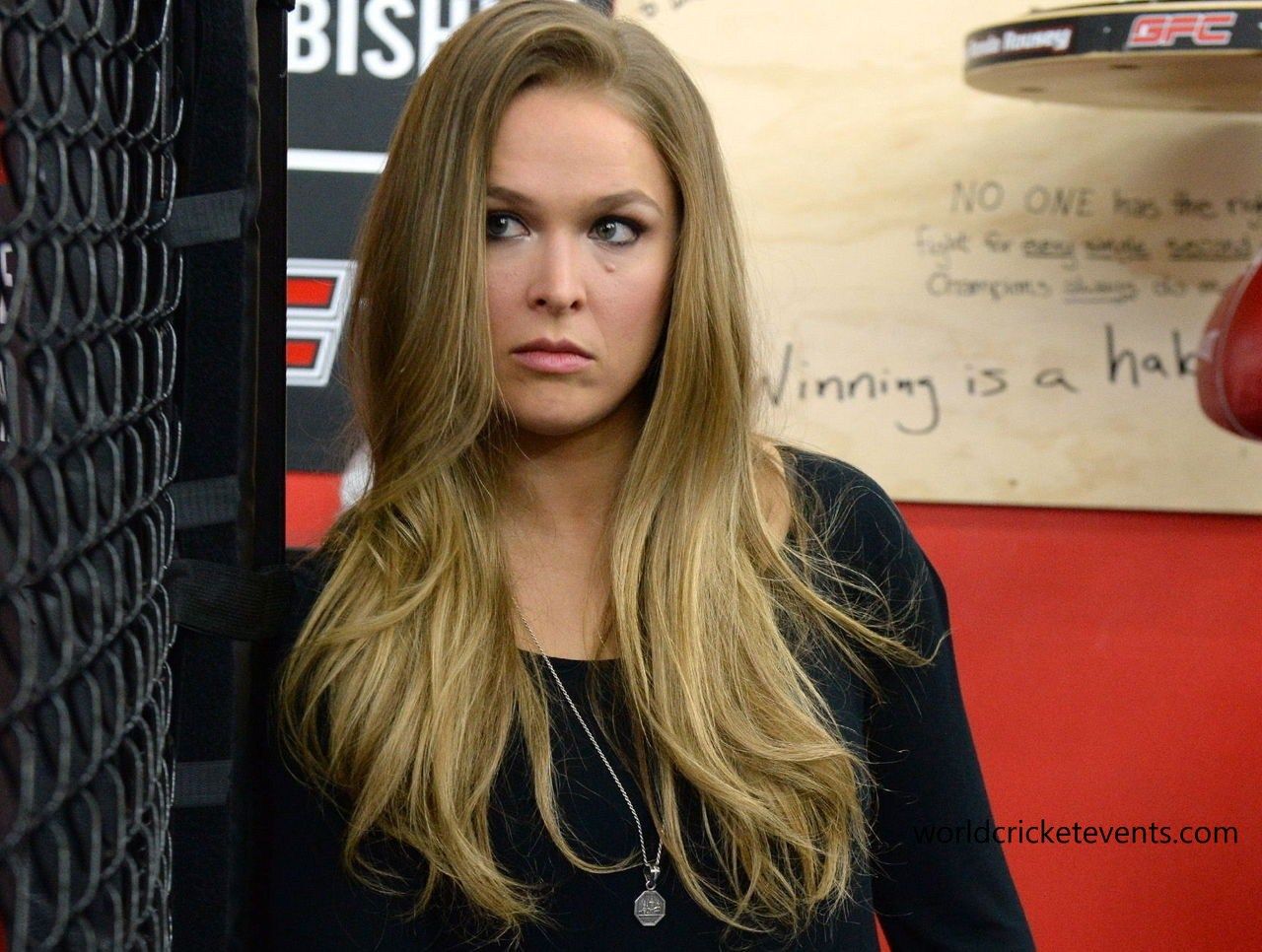 Download Ronda Rousey Hd Wallpaper For Desktop Http - Ronda Rousey Wwe ...