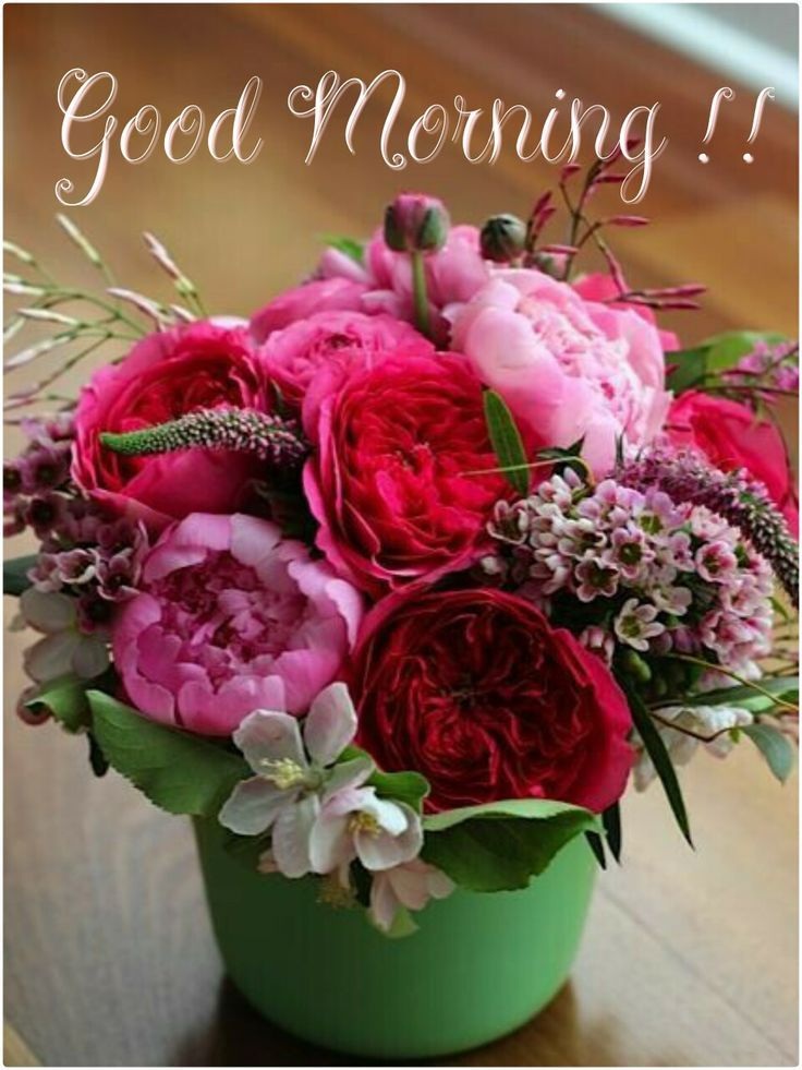 Good Morning And Good Night Wallpaper - Good Morning & Good Night ...