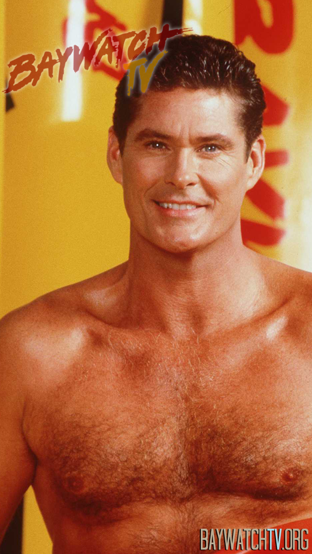 Wall15 Wall14 Wall13 Wall12 Wall11 - David Hasselhoff (#1752002) - HD ...