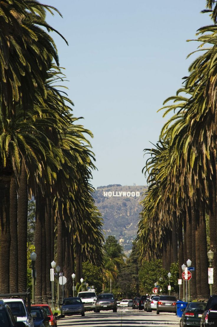 Download Wallpaper - Hollywood California Los Angeles (#1779155) - HD ...