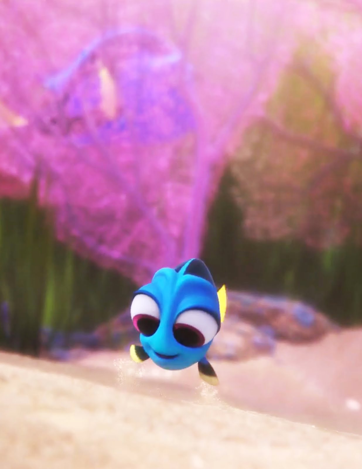 Dory Sand Is Squishy (#1797589) - HD Wallpaper & Backgrounds Download