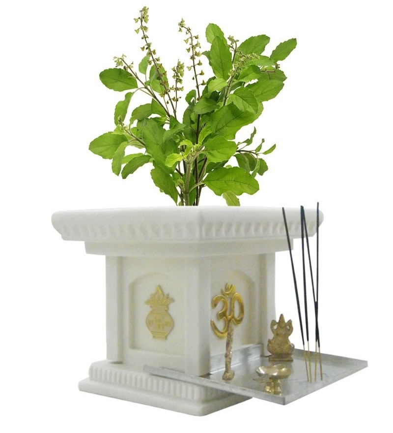 Tulsi Plant Clipart - Tulsi Pooja (#1808284) - HD Wallpaper ...